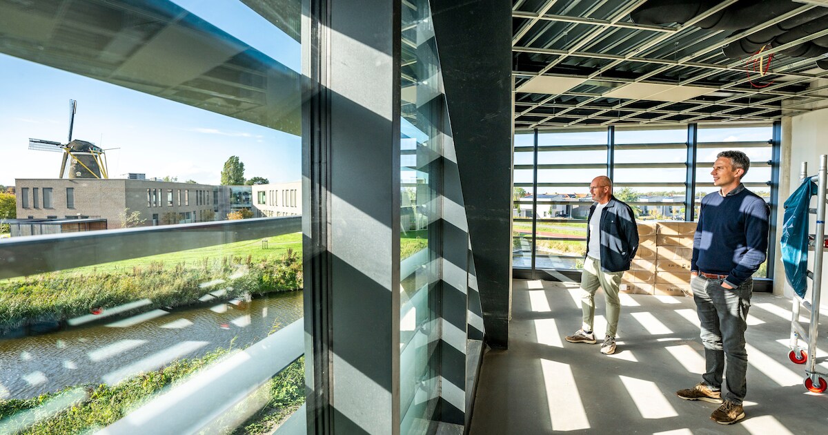 Waarom dit ICT-bedrijf juist trouw blijft aan Zeeland: ‘We kunnen hier ...