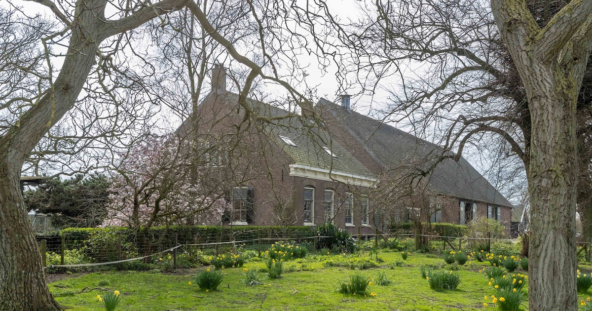 Soekowono? Hoe komt een boerderij in Kapelle aan die bijzondere naam ...