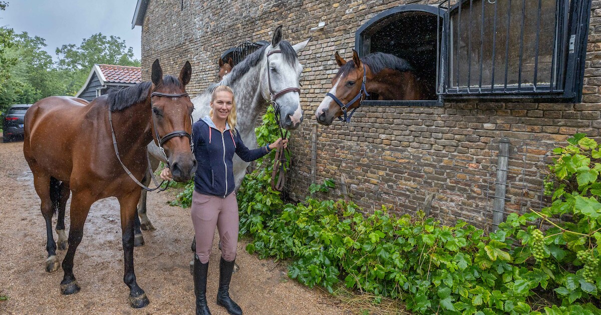 Jumpin’ de Weel pakt het groots aan en is daardoor flink in trek: ‘Het ...