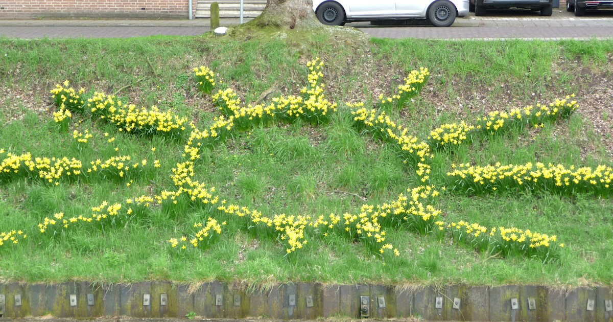10 weetjes over de lente | Zeeuws nieuws | PZC.nl