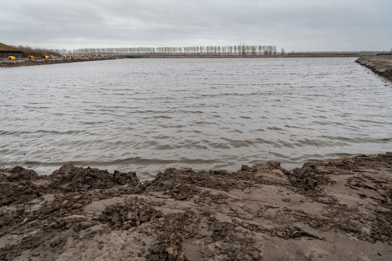 Sterrenrestaurant voor vogels en vissen door baggerwerk in kreek bij ...