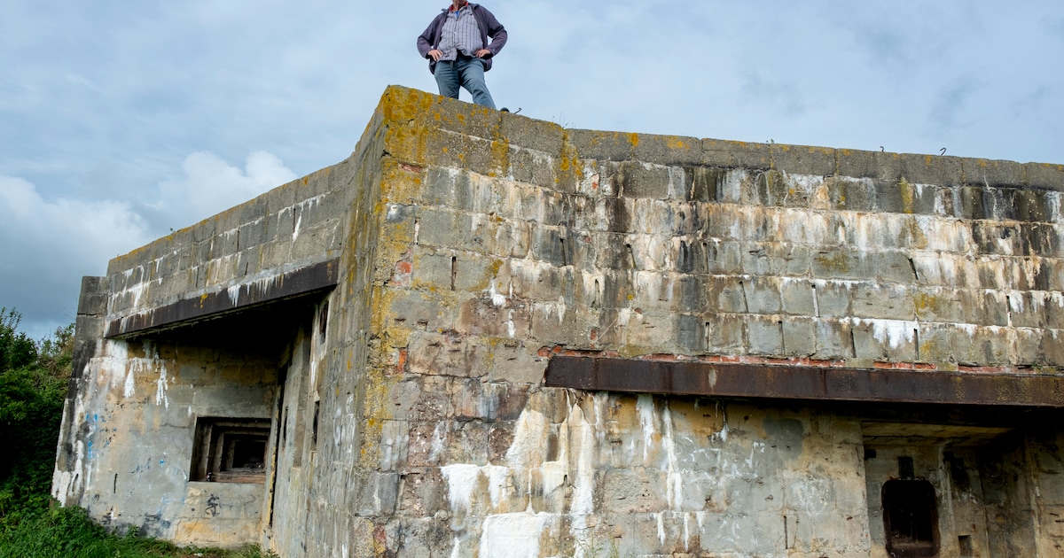 Wat Zeeland kan leren van Normandië: ‘Bunkers zijn nu onaantrekkelijk ...
