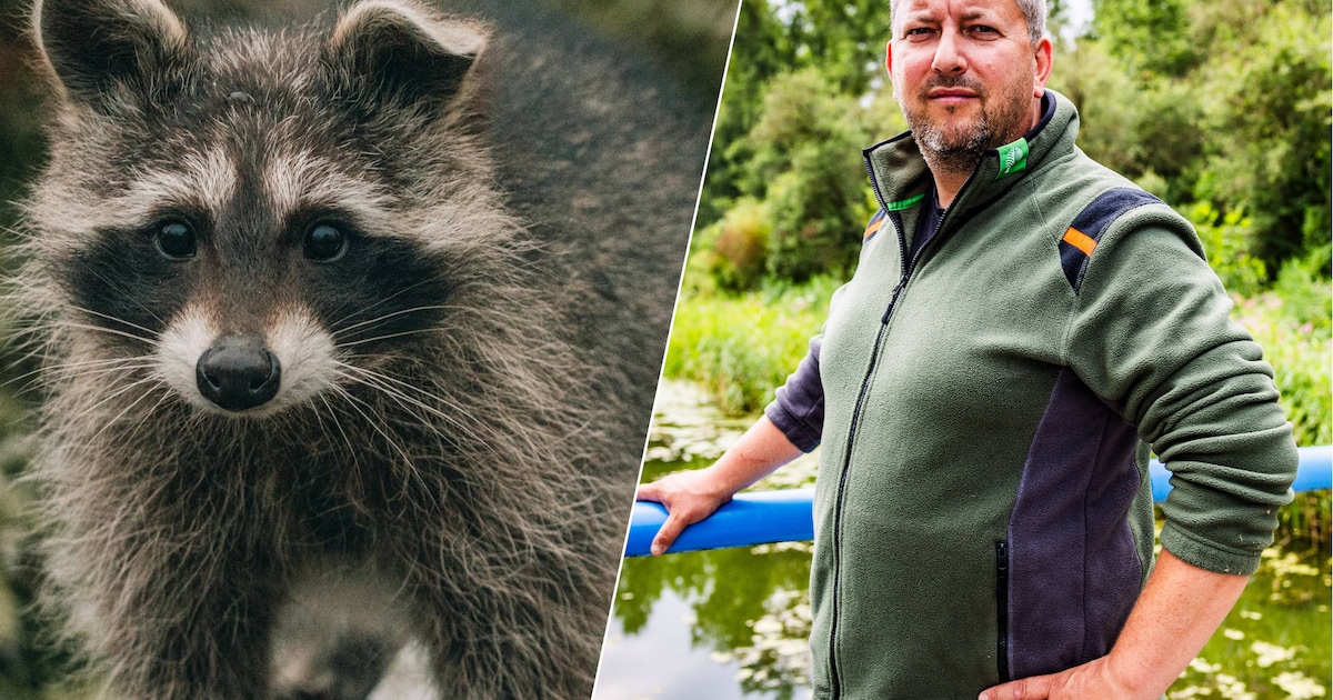 Medewerkers filmen superknuffelige indringer in winkelcentrum, even ...