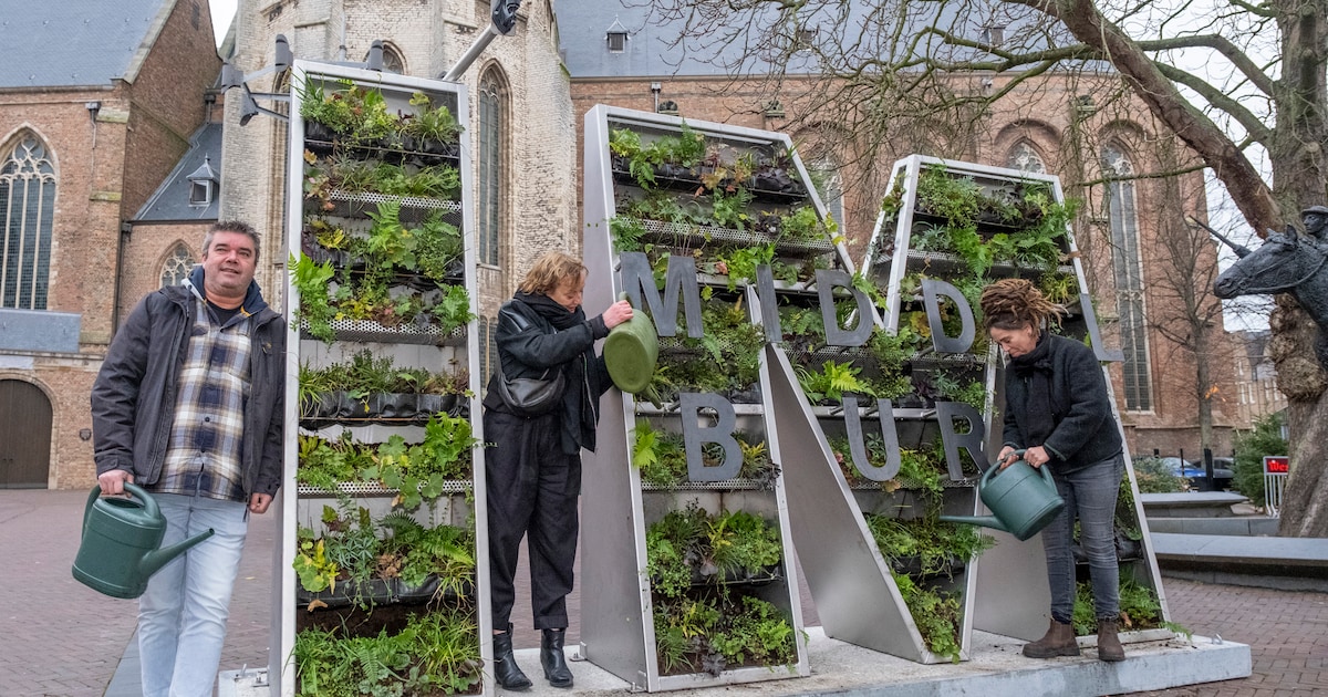 ‘I'm Middelburg’ gaat de hele stad rondreizen: ‘We hopen dat iedereen ...