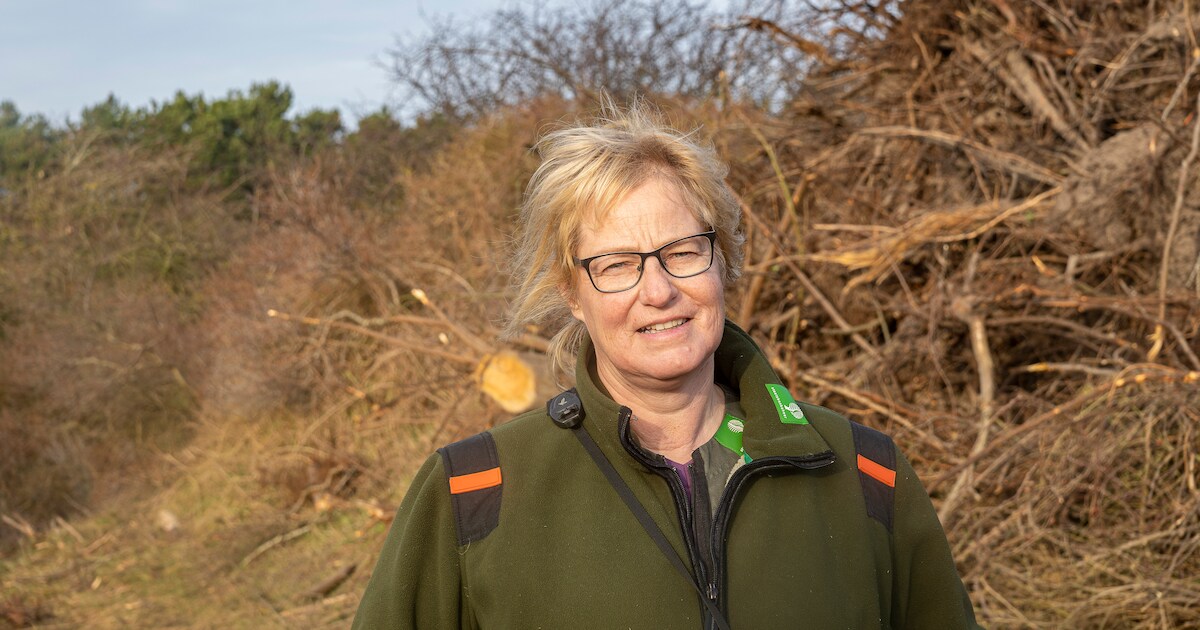 De bospest te lijf in Kop van Schouwen: ‘Dit heeft alleen maar zin als ...