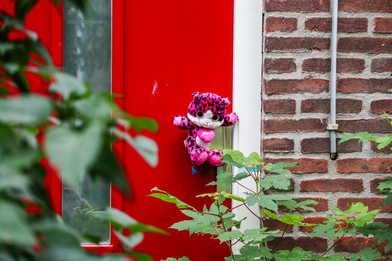 Zaak van Vlaardings pleegmeisje heeft ook positief effect: flink meer mensen hebben interesse in ...