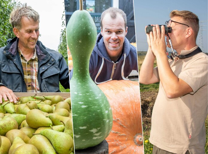 Peren plukken, pompoenen oogsten en de lucht vol met spreeuwen: herfst ...