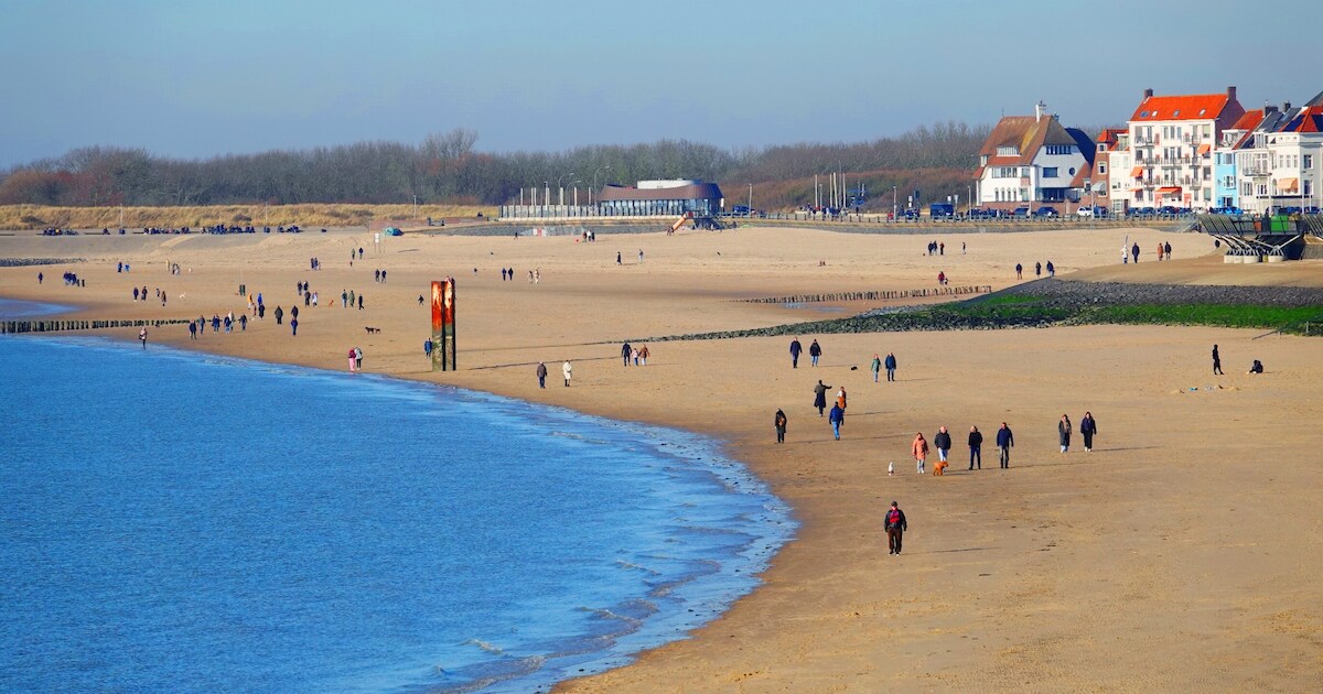 MIJN FOTO | Genieten van de zon op het Vlissingse strand | Van de lezer ...