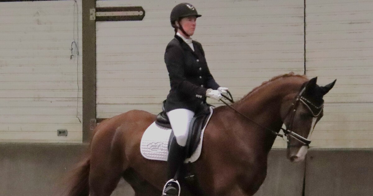 Diana Polderman koestert haar winnende paard: ‘Genieten van iedere dag dat ik hem kan rijden ...