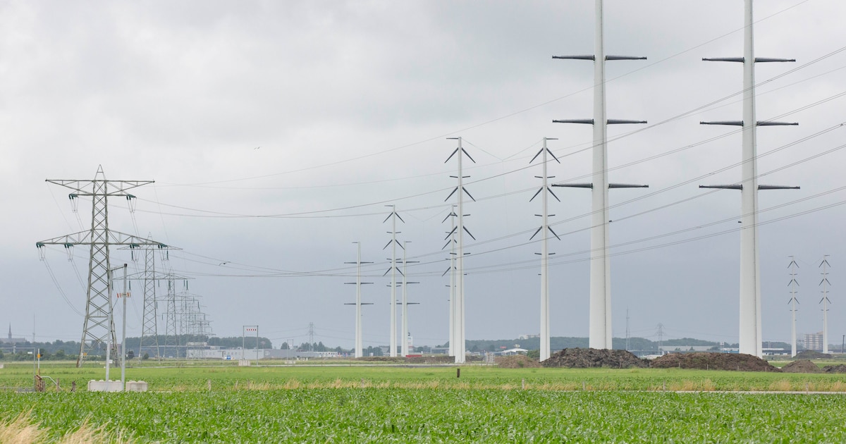 Biologisch-dynamische teler tolereert alleen ‘gesteriliseerd’ TenneT op zijn akker in Kruiningen ...