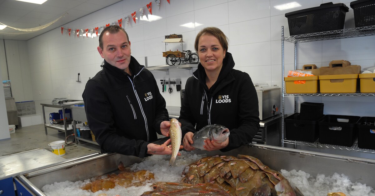 Bij de Visloods gaat de mooiste vis zo van de boot naar de winkel | Walcheren | pzc.nl