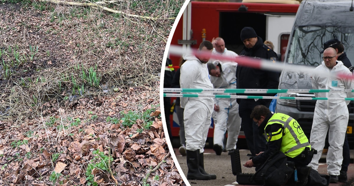 Hoe intensief speurwerk leidde tot aanhouding in zaak van vermoorde Marleen (64) in Koewacht ...