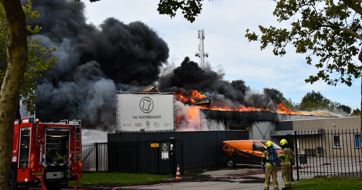 Crowdfunding na brand Bliek Meesterbakkers levert 20.000 euro op ...