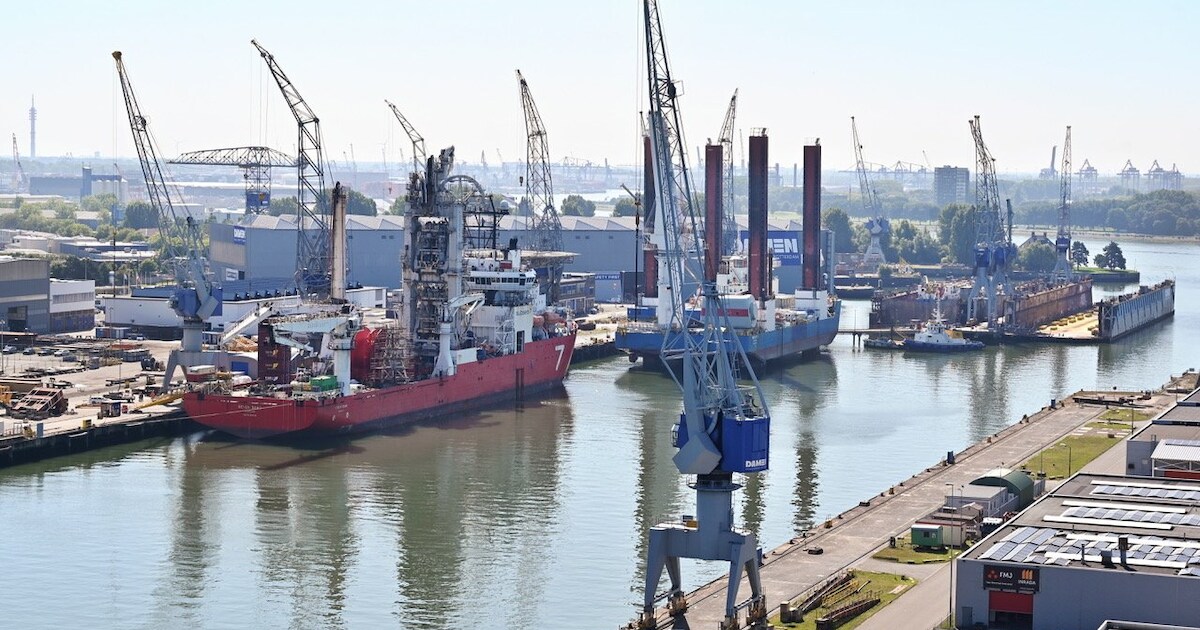 Varen langs iconische plekken: de Wereldhavendagen komen naar Schiedam ...