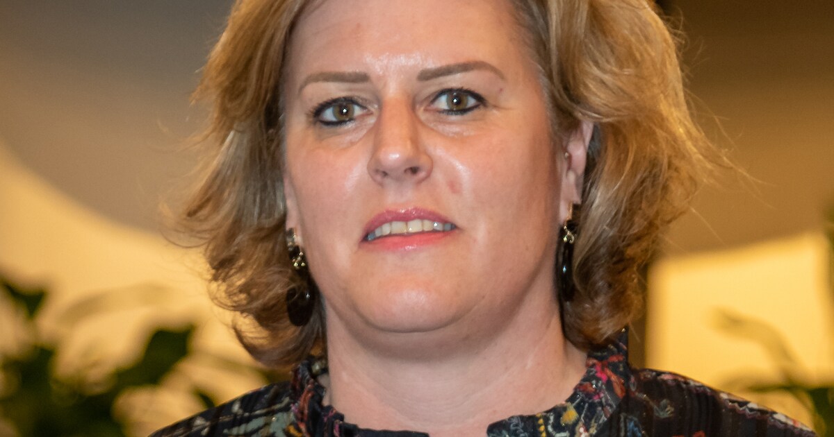 Joyce Kramer stopt: PvdA-raadslid heeft nieuwe baan en is politiek ...