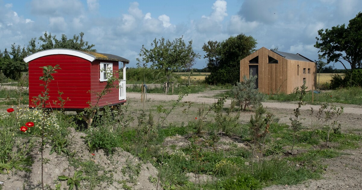 Veere wil fout in regels voor minicampings razendsnel herstellen ...