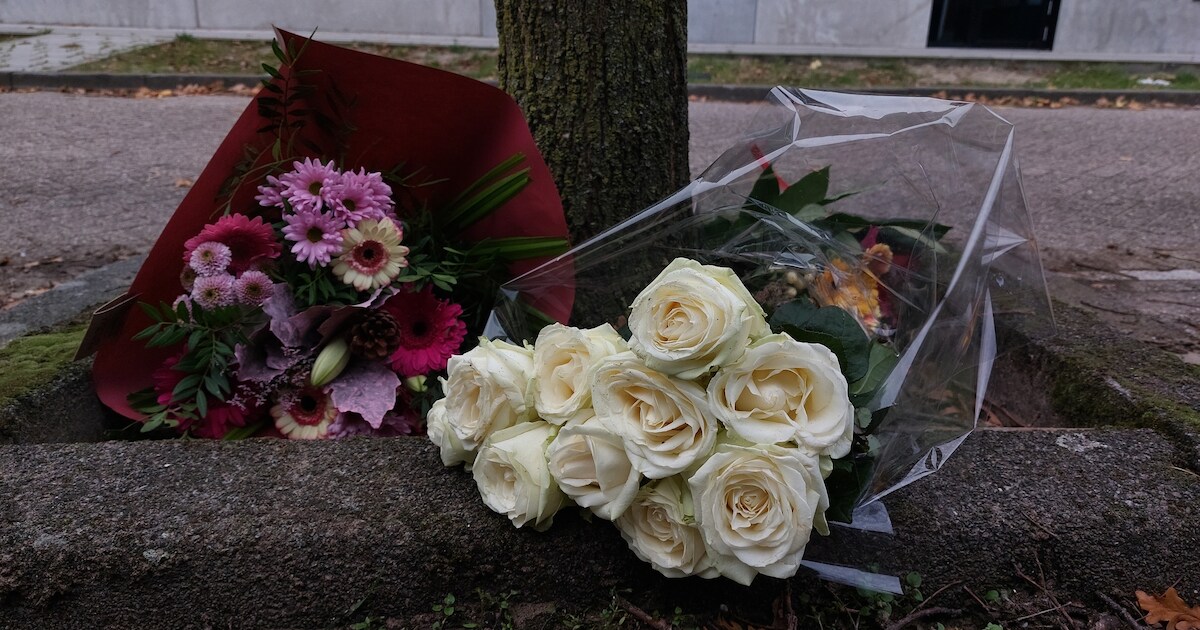 Derde verdachte (27) aangehouden voor dodelijke schietpartij Flying Dutchmanstraat | Rotterdam ...