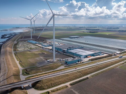 Kingfish: het bedrijf dat bijna zo snel groeit als zijn eigen vis ...