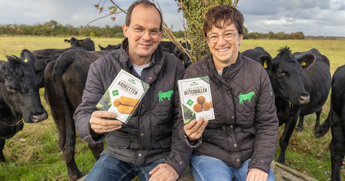 Biefstuk of bitterballen: van het Aberdeen Angus ras gebruikt men kop ...