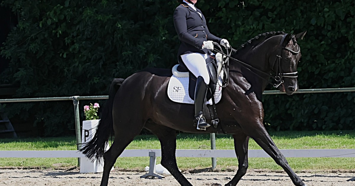 Stephanie de Frel geniet op Zeeland Outdoor Dressage van haar merrie ...