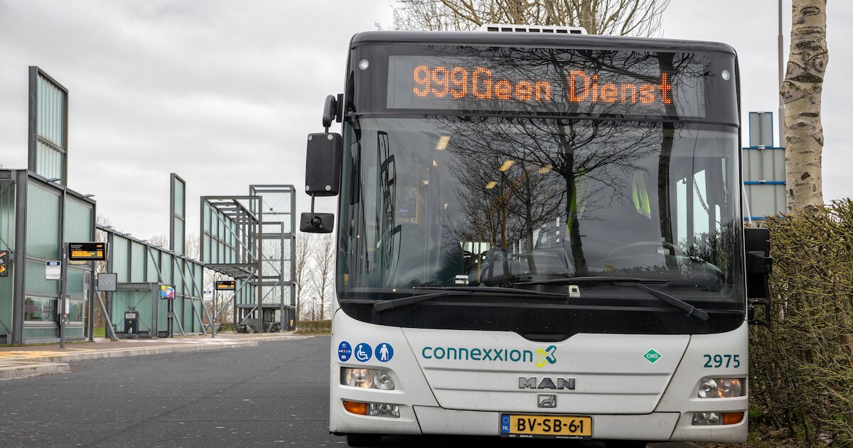Snelle busverbinding Gent–Terneuzen mogelijk vanaf december: ‘Reistijd ...