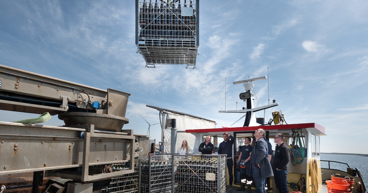 Gemist? Bubbelwijn uit de Oosterschelde | De rijdende kapel van ...