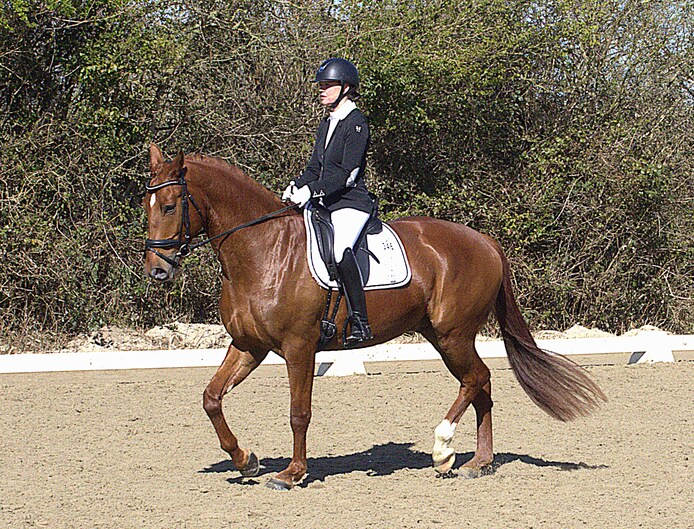 Samantha Osté en Patchino met afstand de beste, maar Gouden Ruif gaat ...