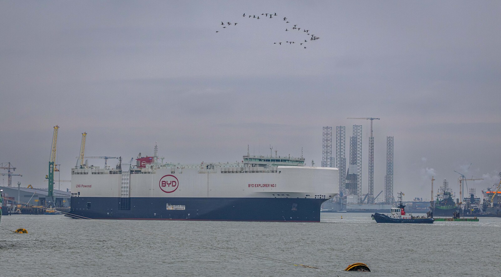 Schip vol met elektrische auto's van Chinese makelij komt aan in ...
