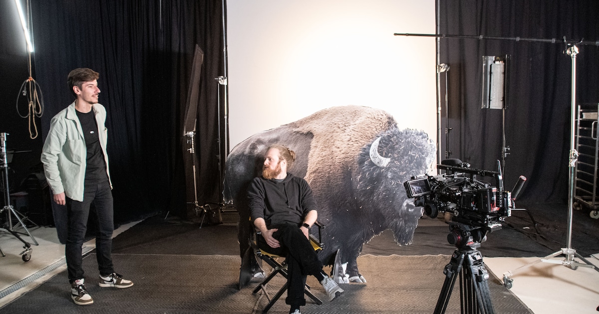 ‘Filmstad’ Bruutsterdam; Clinge wordt het Hollywood van de Benelux | Hulst | PZC.nl