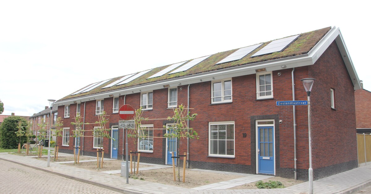 Vier woningen met plantjes, nestkasten en insectenhotels op het dak in ...