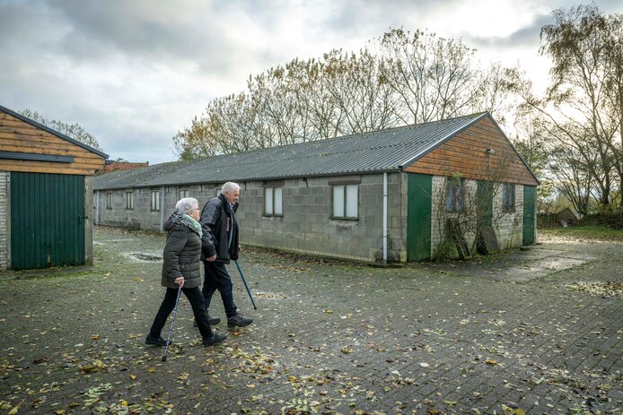 Jarige muziekboer Henk Vos verrast met Commissarispenning | Middelburg ...