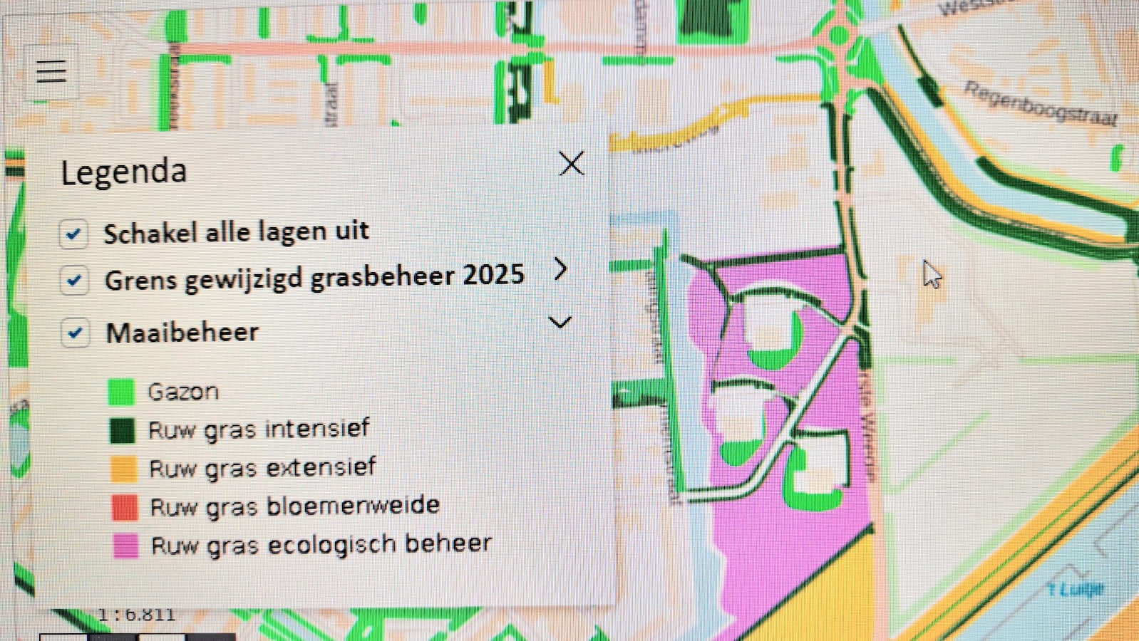 Grof gras in Zierikzee: ‘We kijken of we misschien die letters weg ...