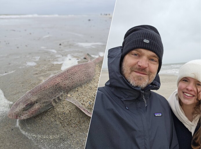 Een levende hondshaai vinden is uniek: Bas Boom redde er een op het ...