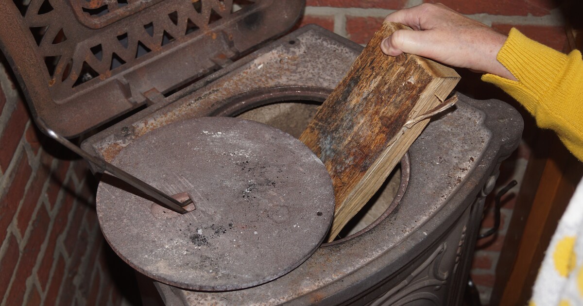 Houtstook vaak splijtzwam, maar wakker het vuurtje niet aan: ‘Als je er ...