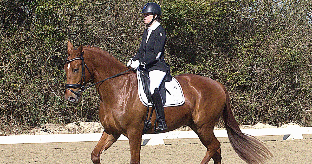 Samantha Osté en Patchino met afstand de beste, maar Gouden Ruif gaat ...