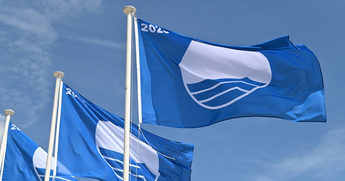 Twee Zeeuws-Vlaamse stranden zien Blauwe Vlag dit jaar aan hun neus ...