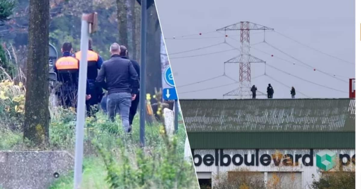 Illegale raveparty aan de gang vlak over de Belgische grens: ‘Veel ...