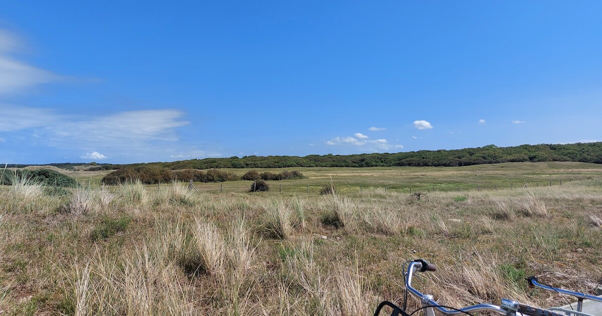 Excursie door de Manteling in Oostkapelle: ontdek natuur en historie ...
