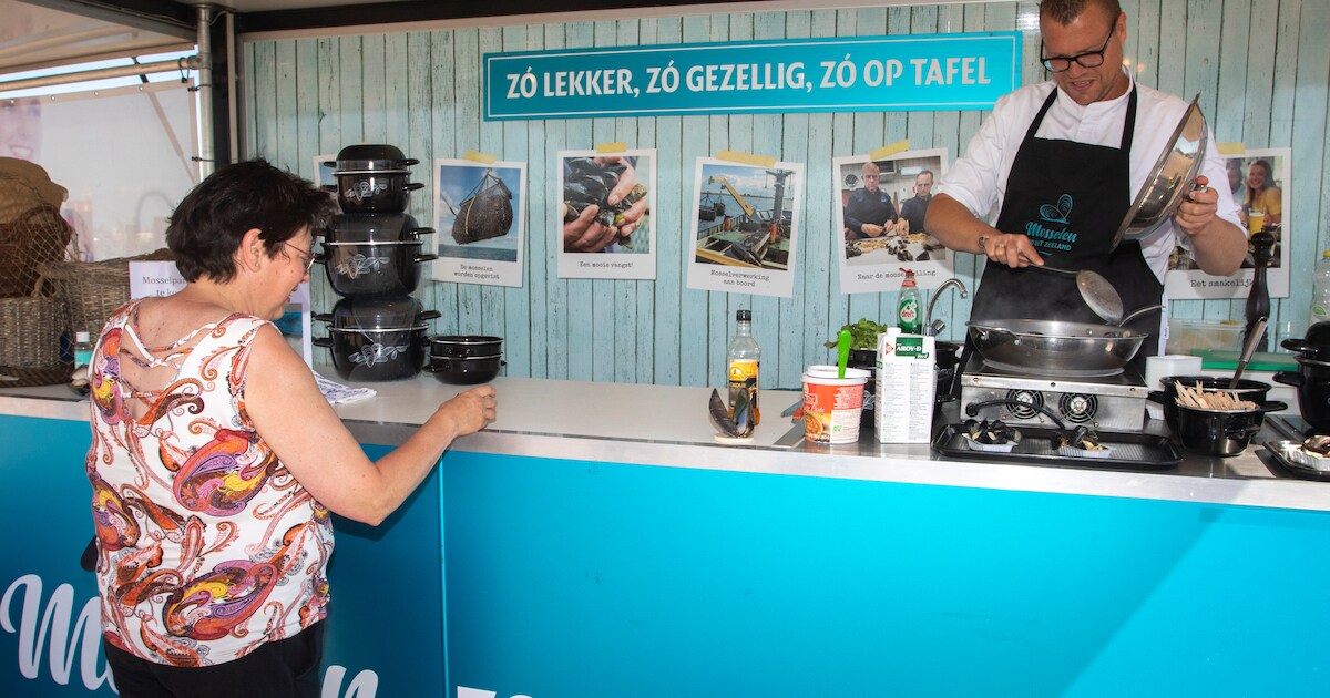 Mosseldag-light houdt Yerseke en de mosselen onder de aandacht ...