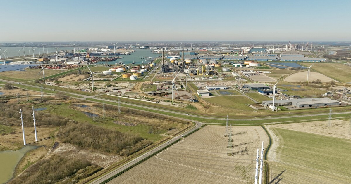 Borsele: hoogspanningsstation buiten Sloegebied is onacceptabel ...