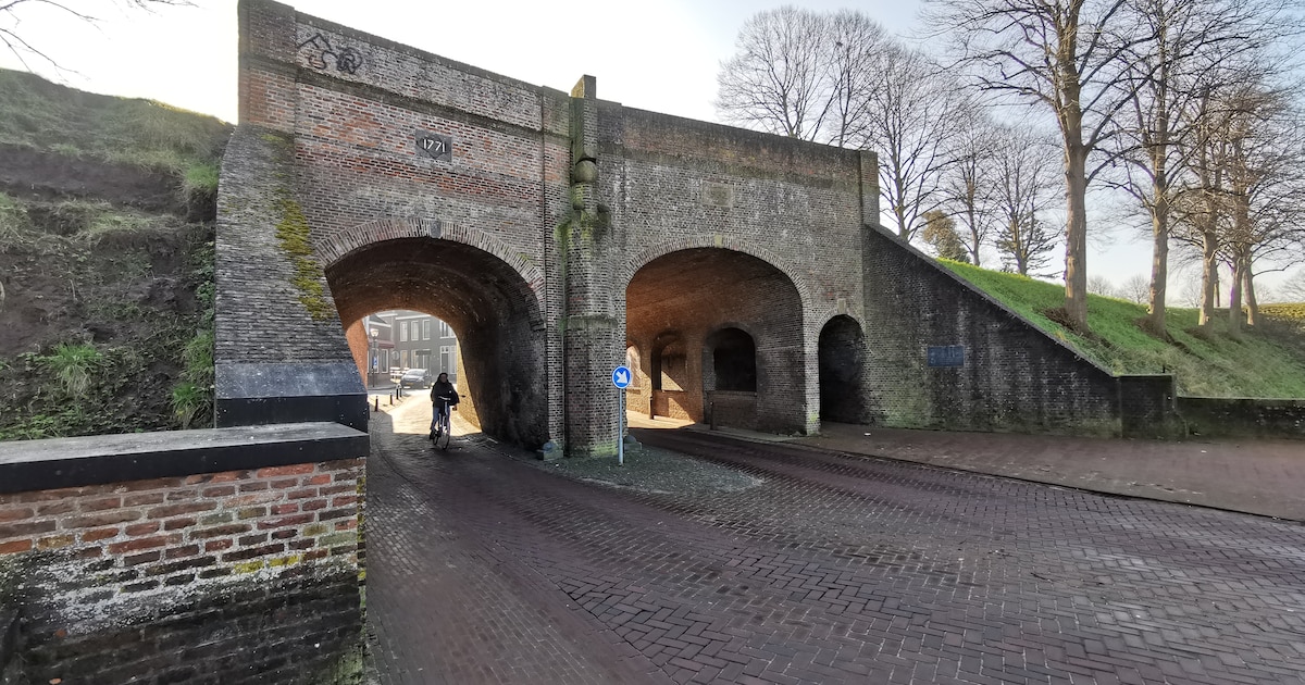 ‘Herstel de historische waterloop en álle bruggen van historisch Hulst’ | Hulst | PZC.nl