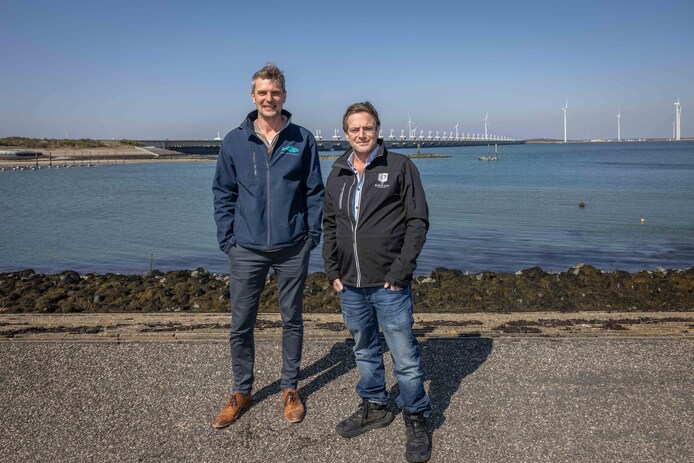 Mede-oprichter Kingfish begint een nieuwe viskwekerij in Kamperland: de ...