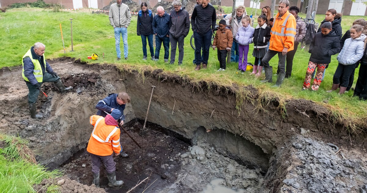 Eerste zichtbare stap megabouwproject Dauwendaele: ‘99 procent juicht ...