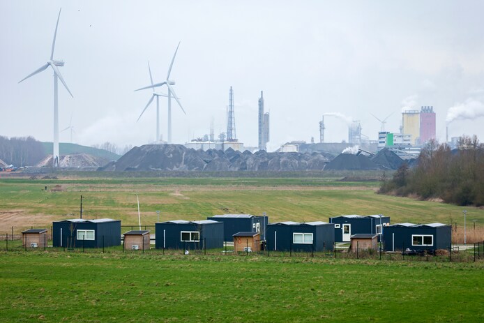 Skaeve Huse bij Sluiskil zijn een succes; een frisse start in de luwte ...