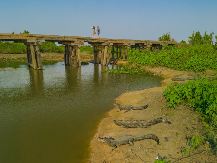 Wat voor velen een droom is, is voor Doeke en Louise werkelijkheid ...