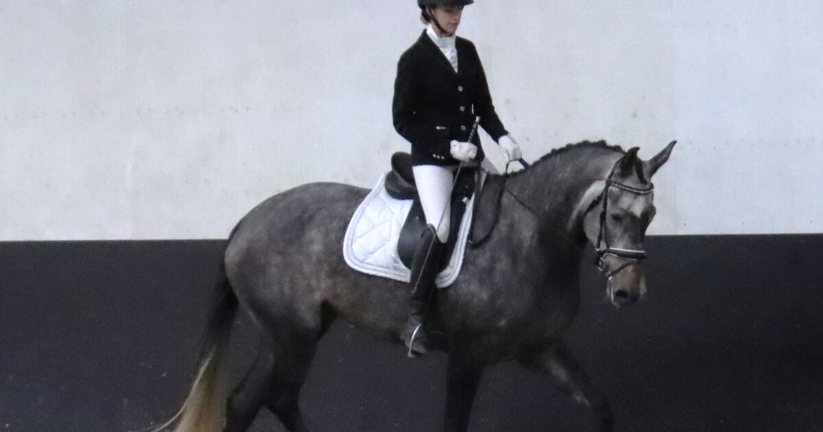 Louwerse maakt na vier jaar succesvolle rentree: ‘Ik was meteen ...