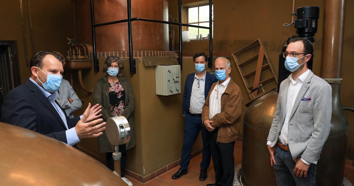 Bierbrouwerij Vermeersen in Hulst gaat ook kombucha maken: ‘Willen de grootste van Europa worden ...