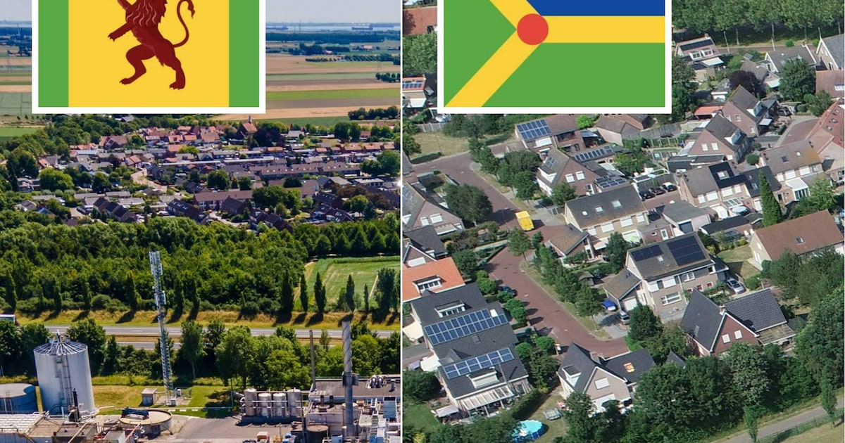 Lewedorp en Nieuwdorp krijgen eindelijk een vlag: ‘Dit zijn belangrijke ...