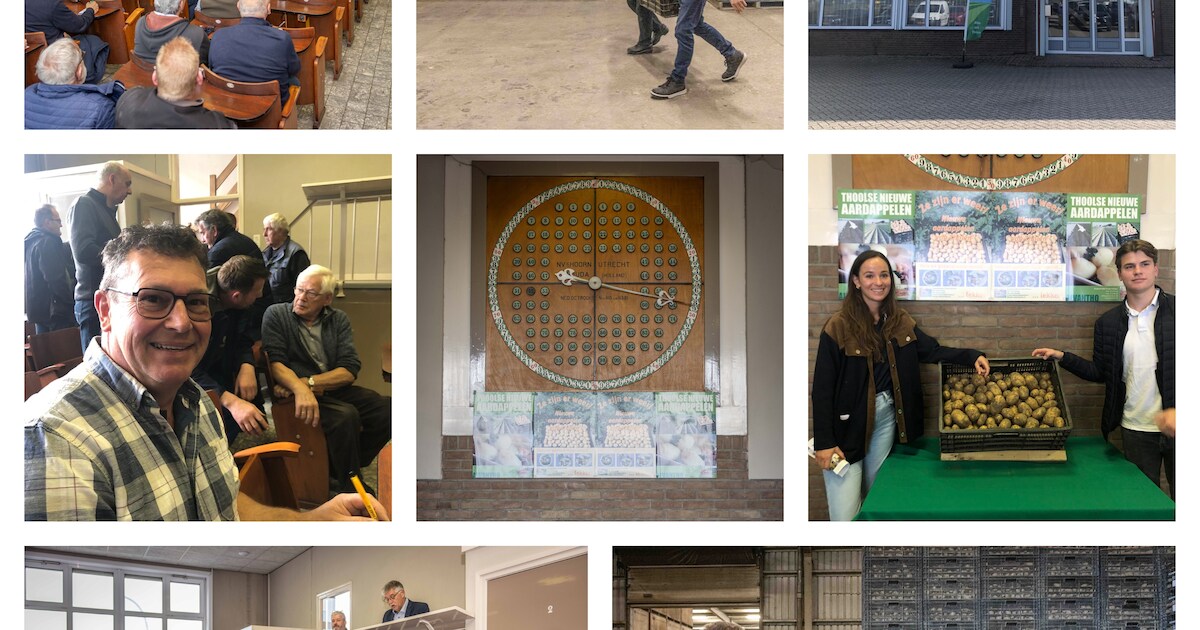 Vooruitkijken, durven én op tijd op de knop drukken bij de veiling: ‘De ...