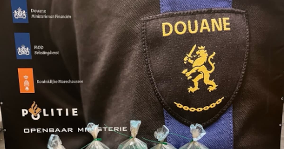 Douane vindt 1001 kilo cocaïne tussen fruit in haven Vlissingen ...